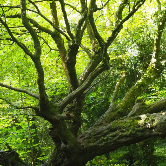 Explore - Arnos Manor Hotel, Venue & Lounge